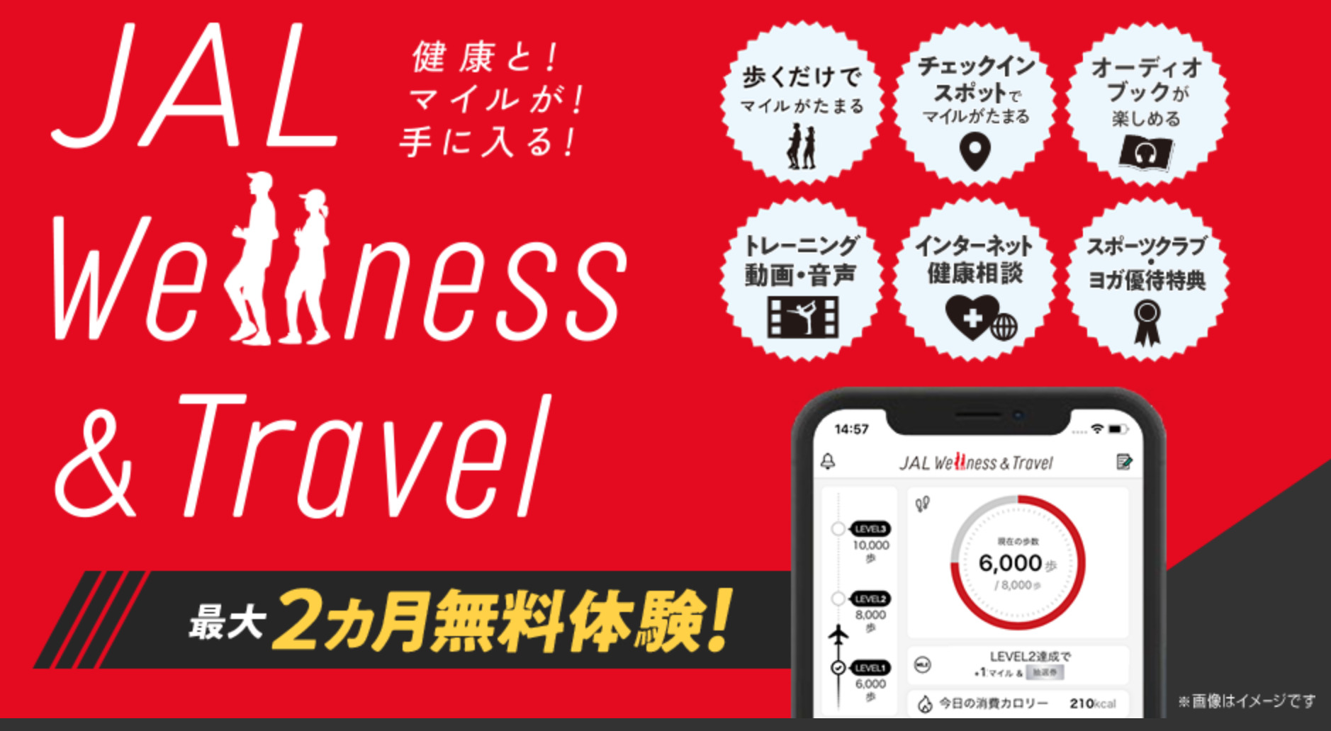 JAL Wellness & Travelアプリでマイルを貯めよう！1ヶ月で何マイル貯まるか検証してみました！ | ひつじとめぐる冒険 空の旅